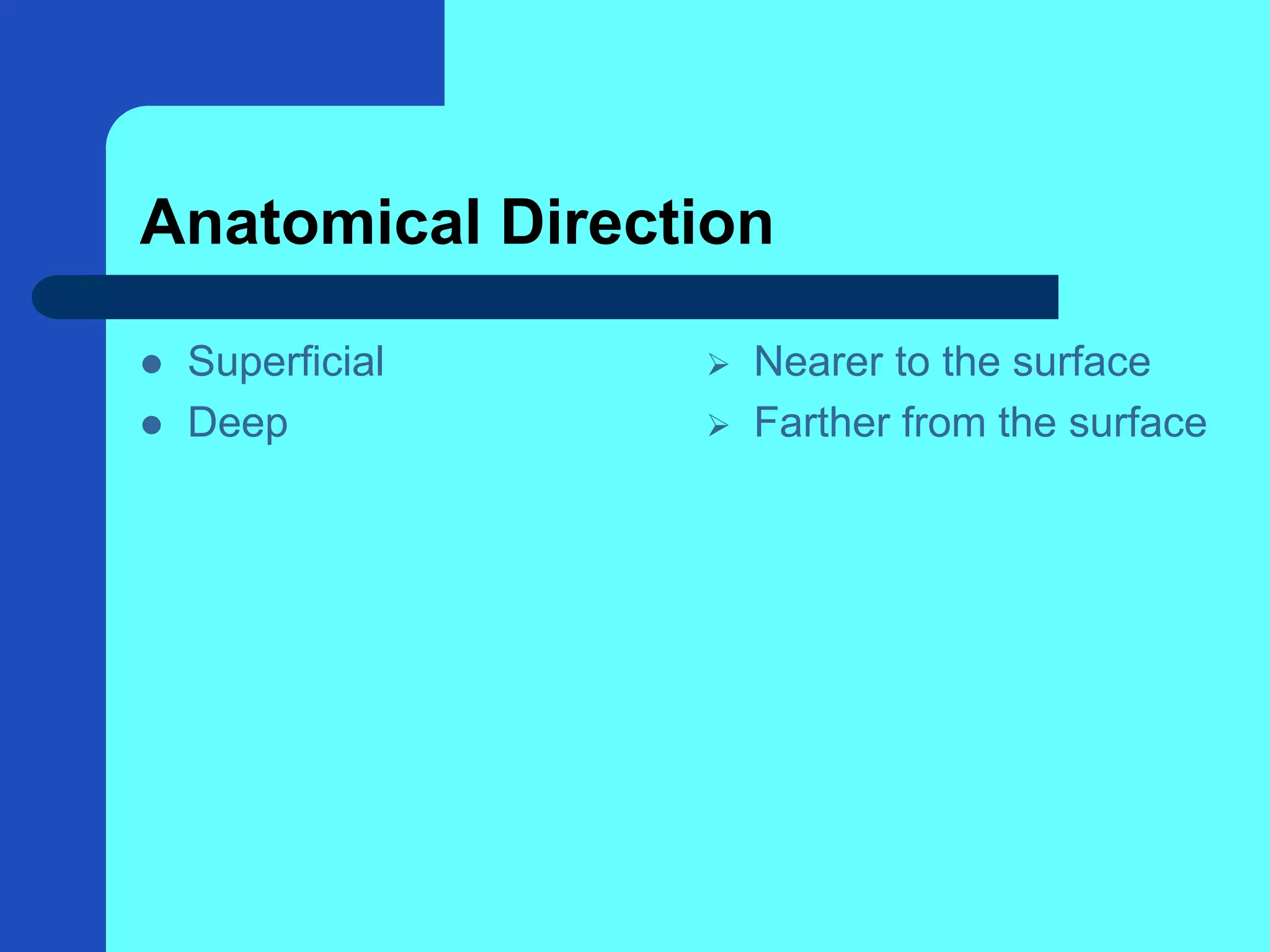 01_General Anatomy.ppt