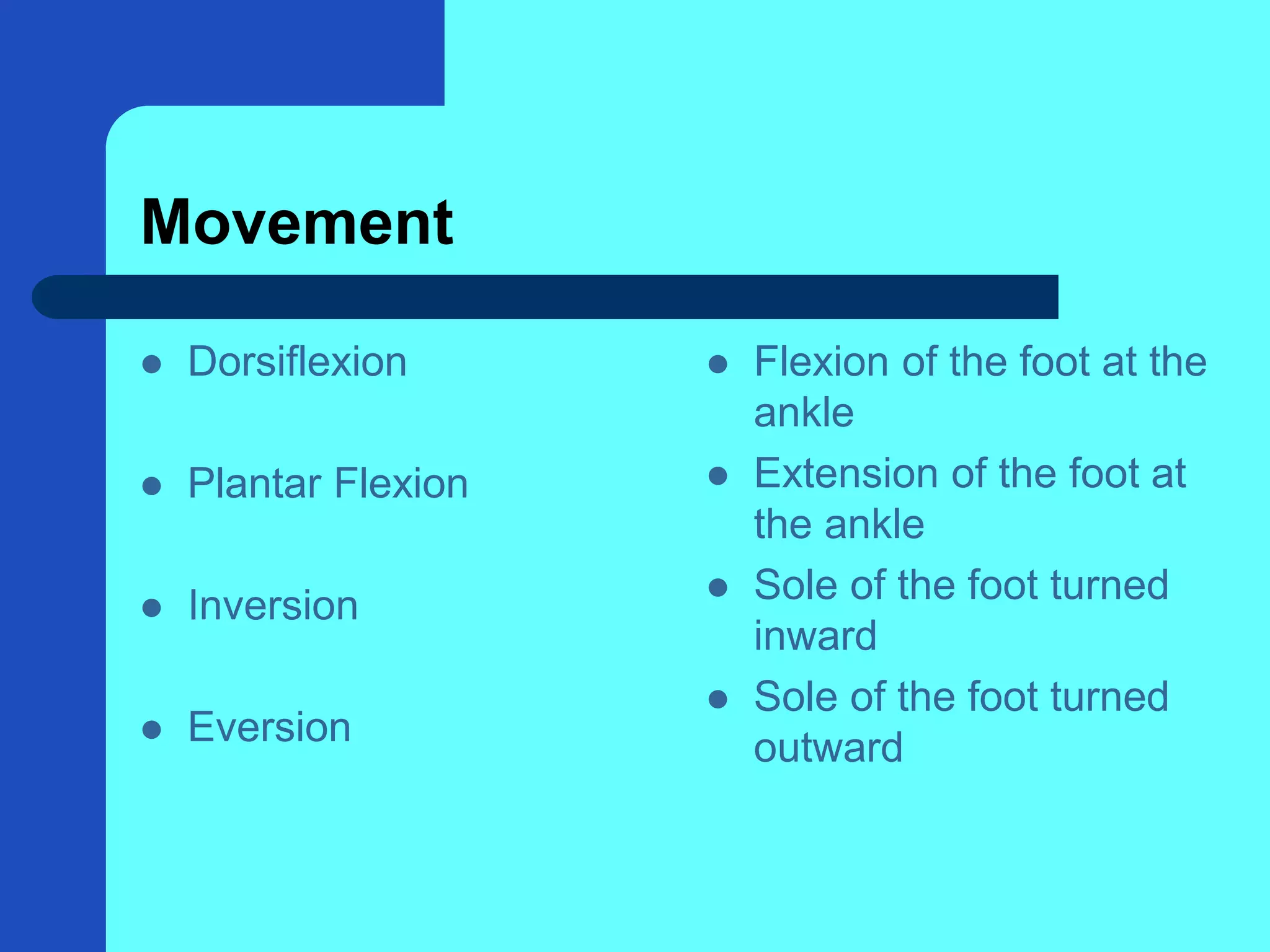 01_General Anatomy.ppt