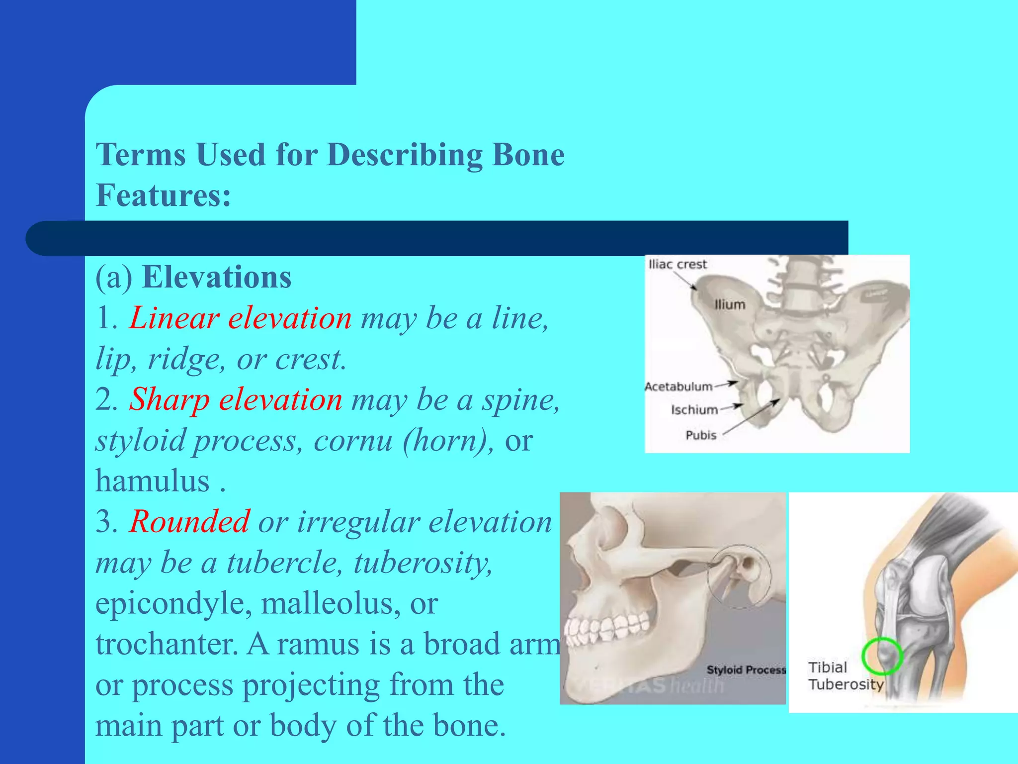 01_General Anatomy.ppt
