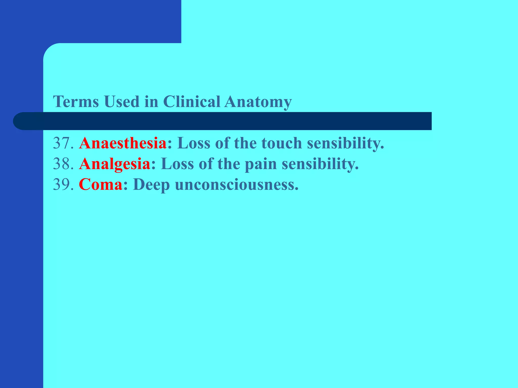 01_General Anatomy.ppt