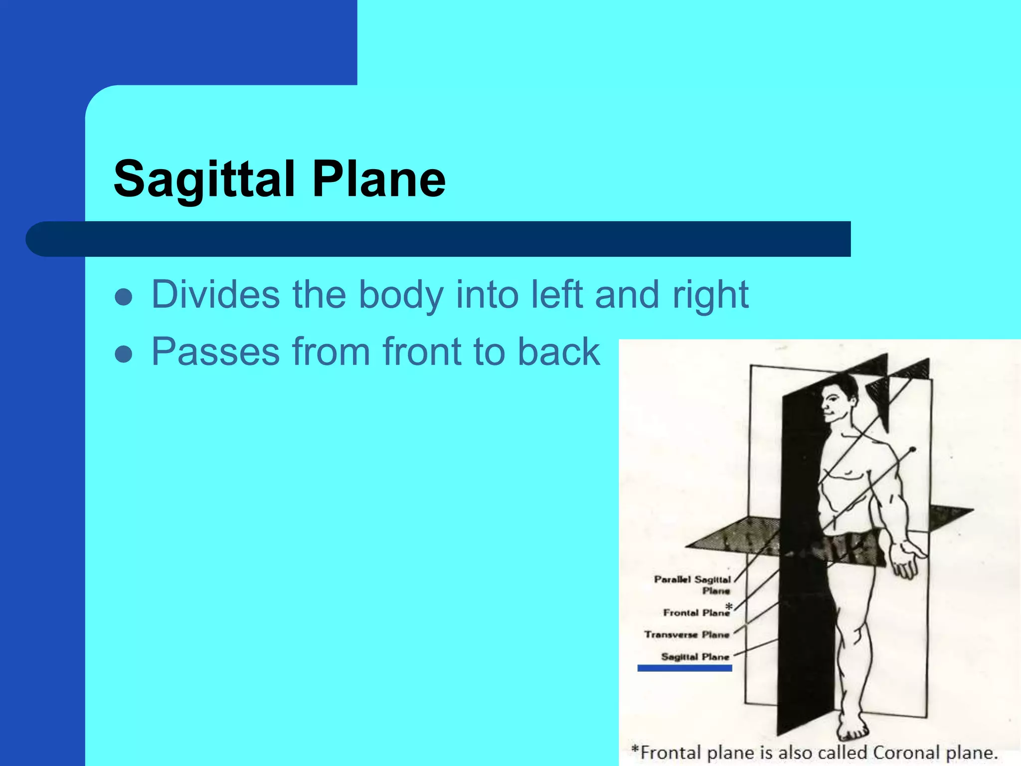 01_General Anatomy.ppt