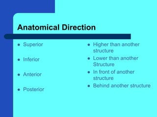 01_General Anatomy.ppt
