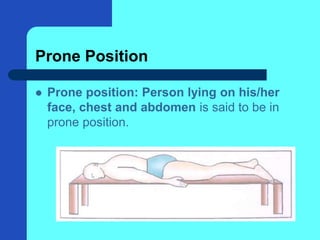 01_General Anatomy.ppt