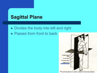 01_General Anatomy.ppt