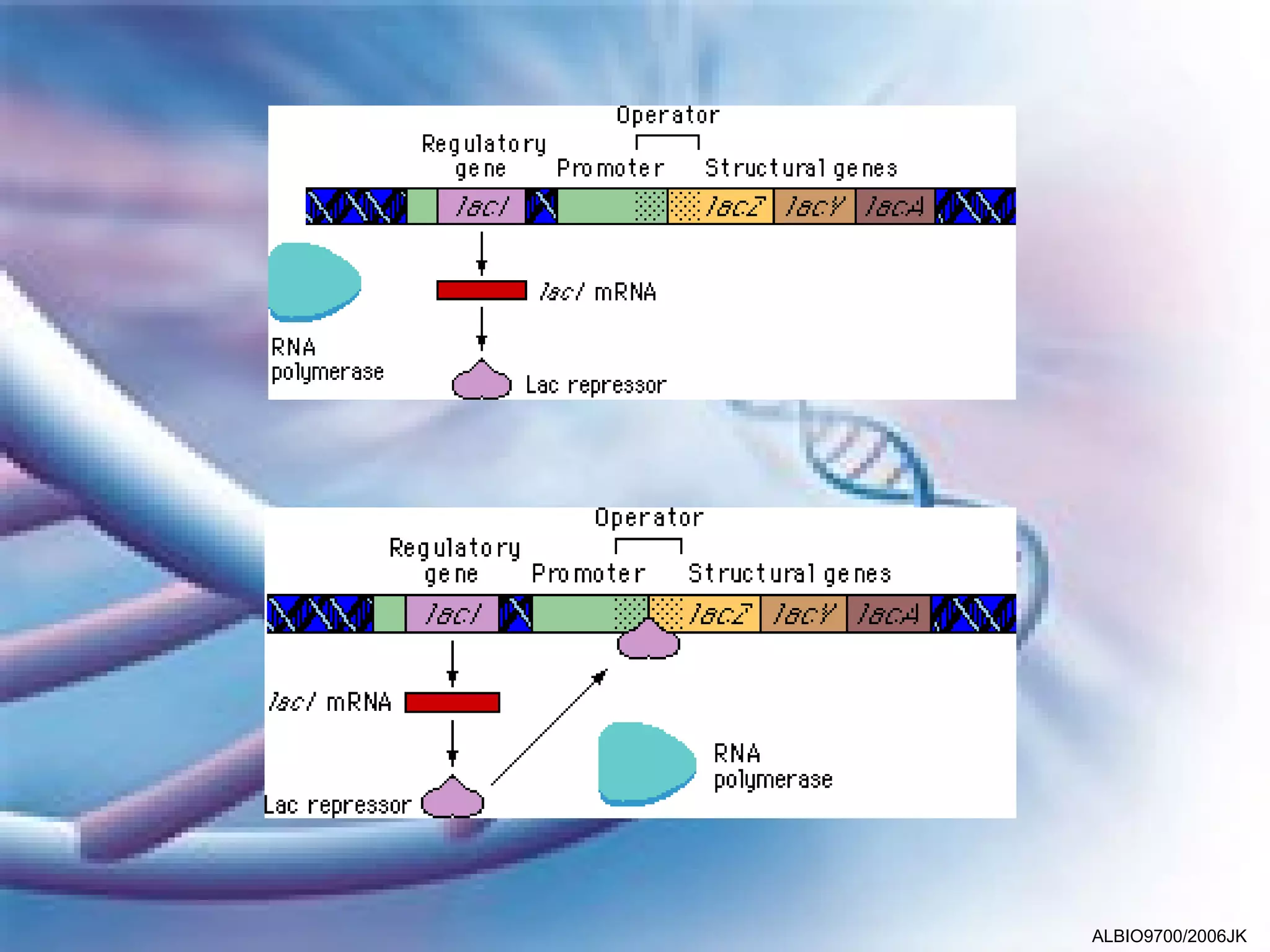 01 Gene Technology for Insulin Production | PPT