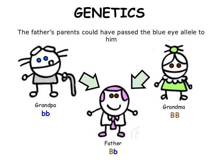 01 genetics version 2