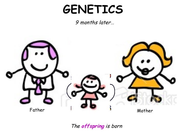 01 genetics version 2
