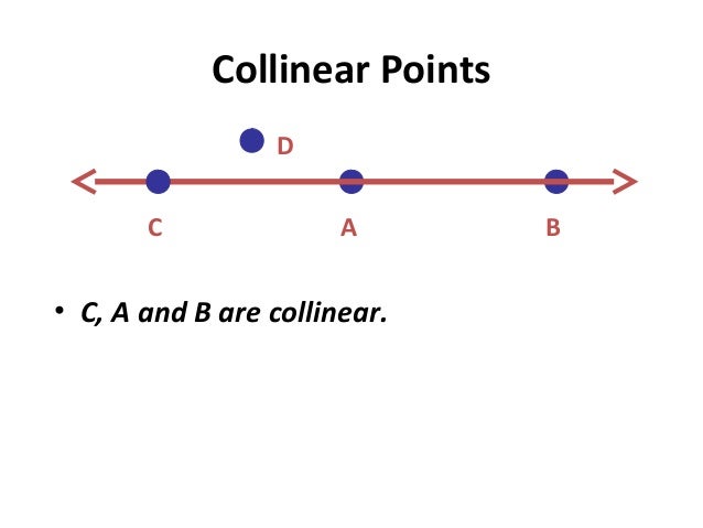 What Does Collinear Mean In Geometry - slidesharetrick