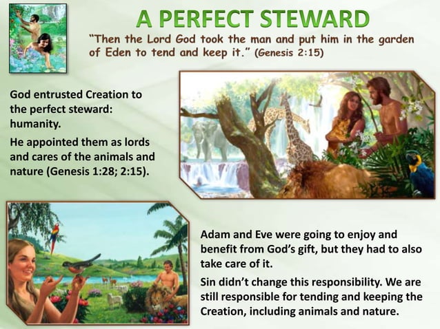 01 god created | PPT