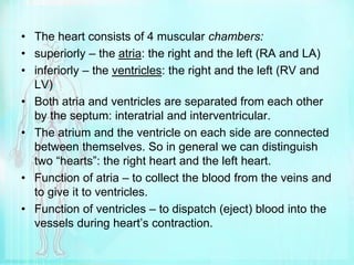 01 Heart.ppt