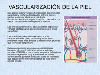 01 HISTOLOGÍA DE LA PIEL.ppt