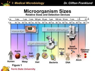 Scope and History of Microbiology | PPTX