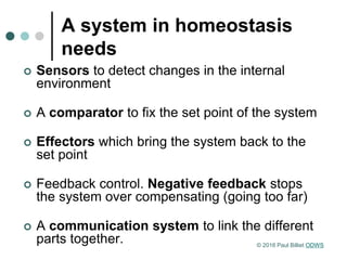 homeostasis | PPT