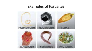 01 host parasite interactions | PPTX