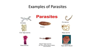 01 host parasite interactions | PPTX