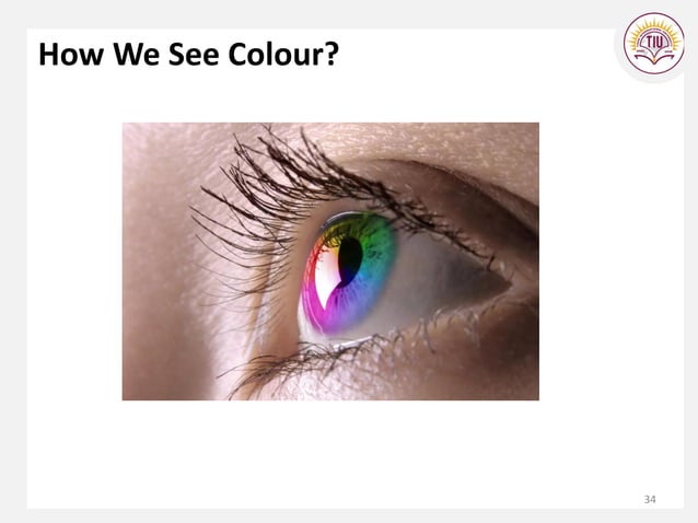 01 How Colors Affect Human Behavior - 2025.pdf