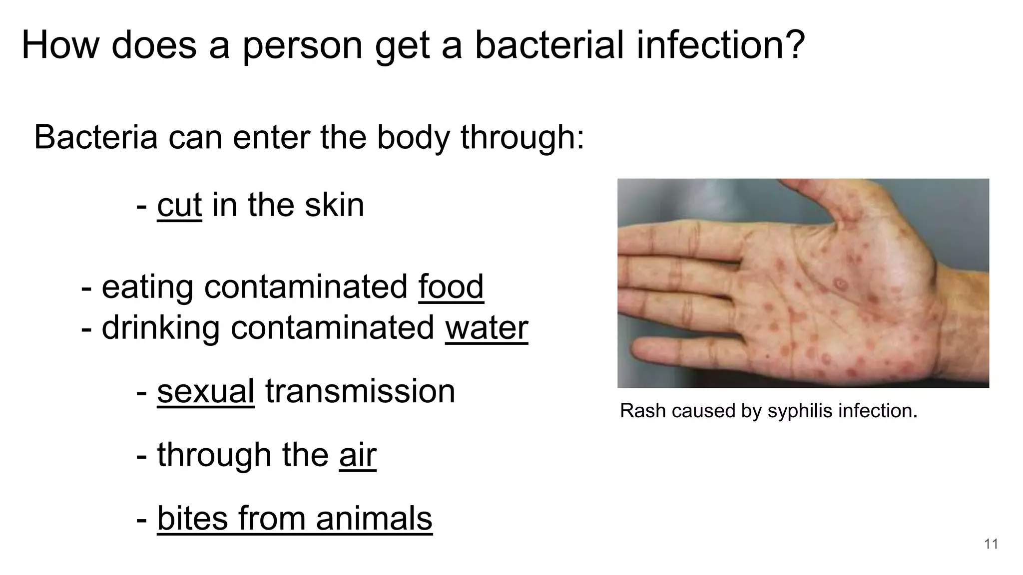 01 How Do Bacteria Make You Sick.pptx