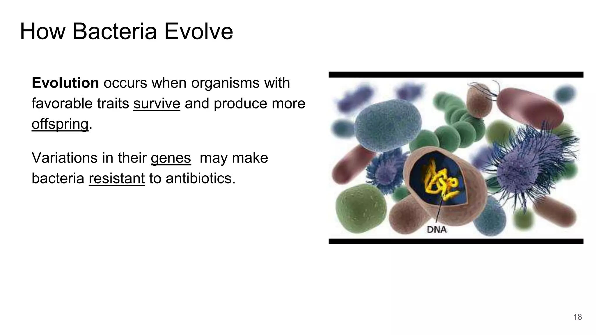 01 How Do Bacteria Make You Sick.pptx