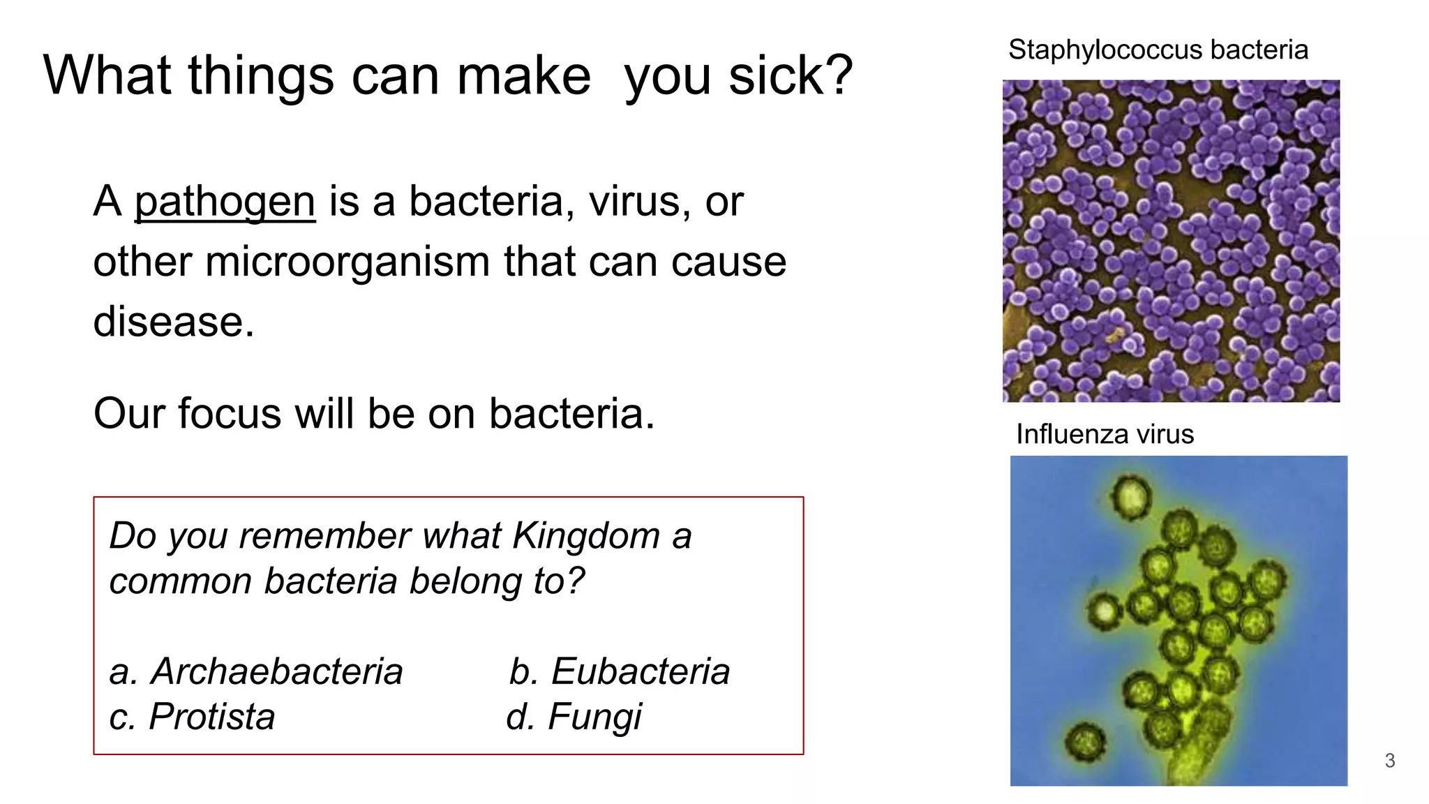 01 How Do Bacteria Make You Sick.pptx
