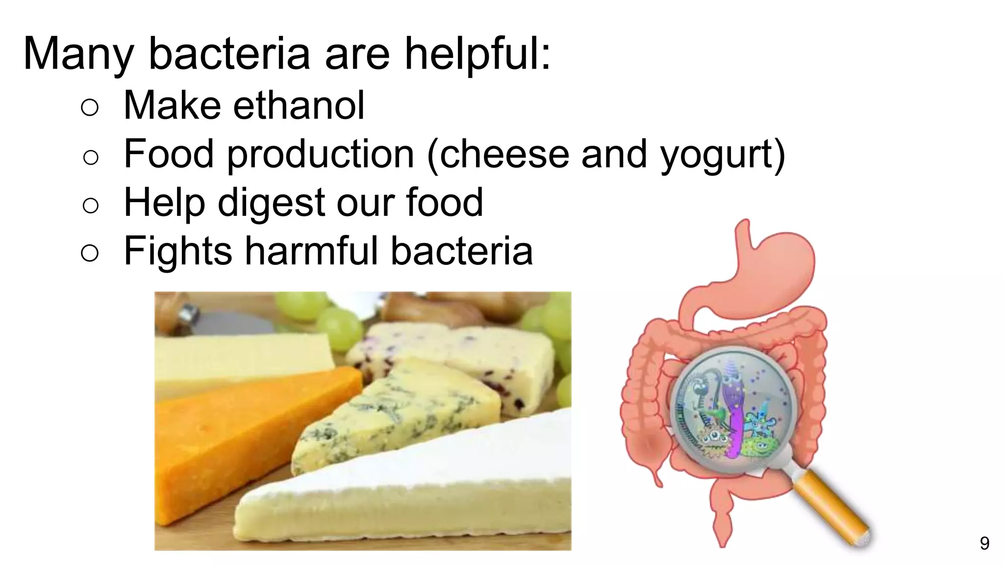 01 How Do Bacteria Make You Sick.pptx