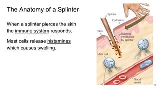 01 How Do Bacteria Make You Sick.pptx