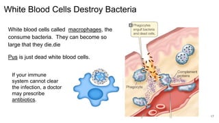 01 How Do Bacteria Make You Sick.pptx