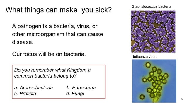 01 How Do Bacteria Make You Sick.pptx