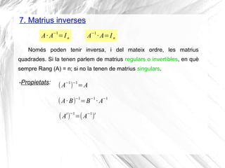 01 i 02 Matrius i determinants | PDF