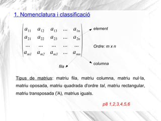 01 i 02 Matrius i determinants | PDF