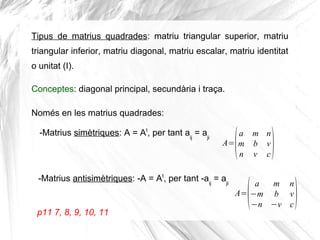 01 i 02 Matrius i determinants | PDF