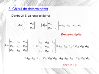 01 i 02 Matrius i determinants | PDF