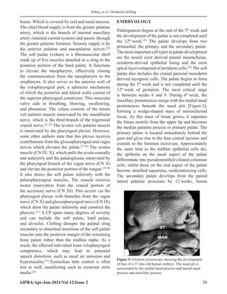 01_IJPBA_1925_21.pdf