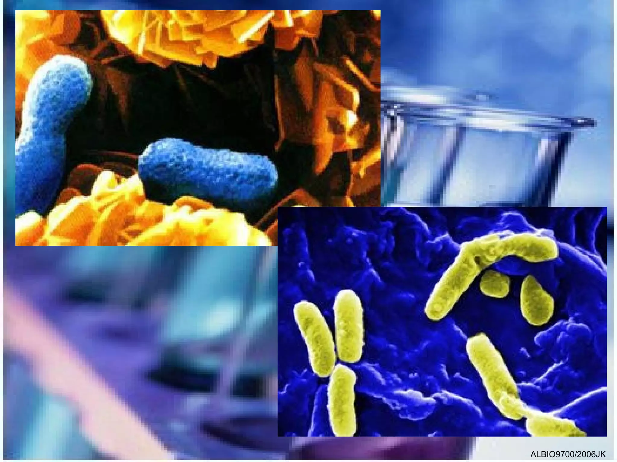 01 Industrial Applications of Microorganisms | PPT