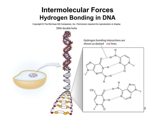 01_Intermolecular Forces (IMF).pptx