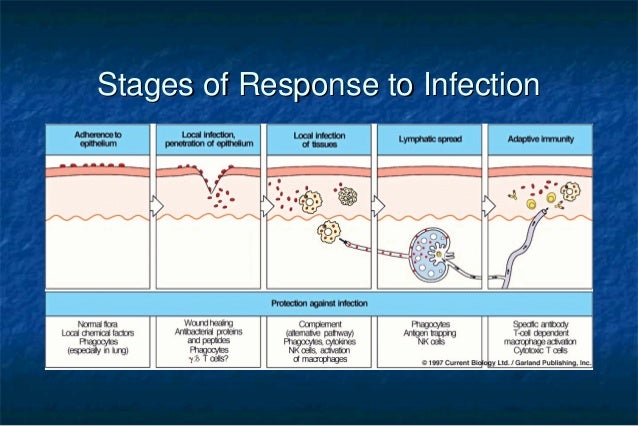 01 intro and innate immunity