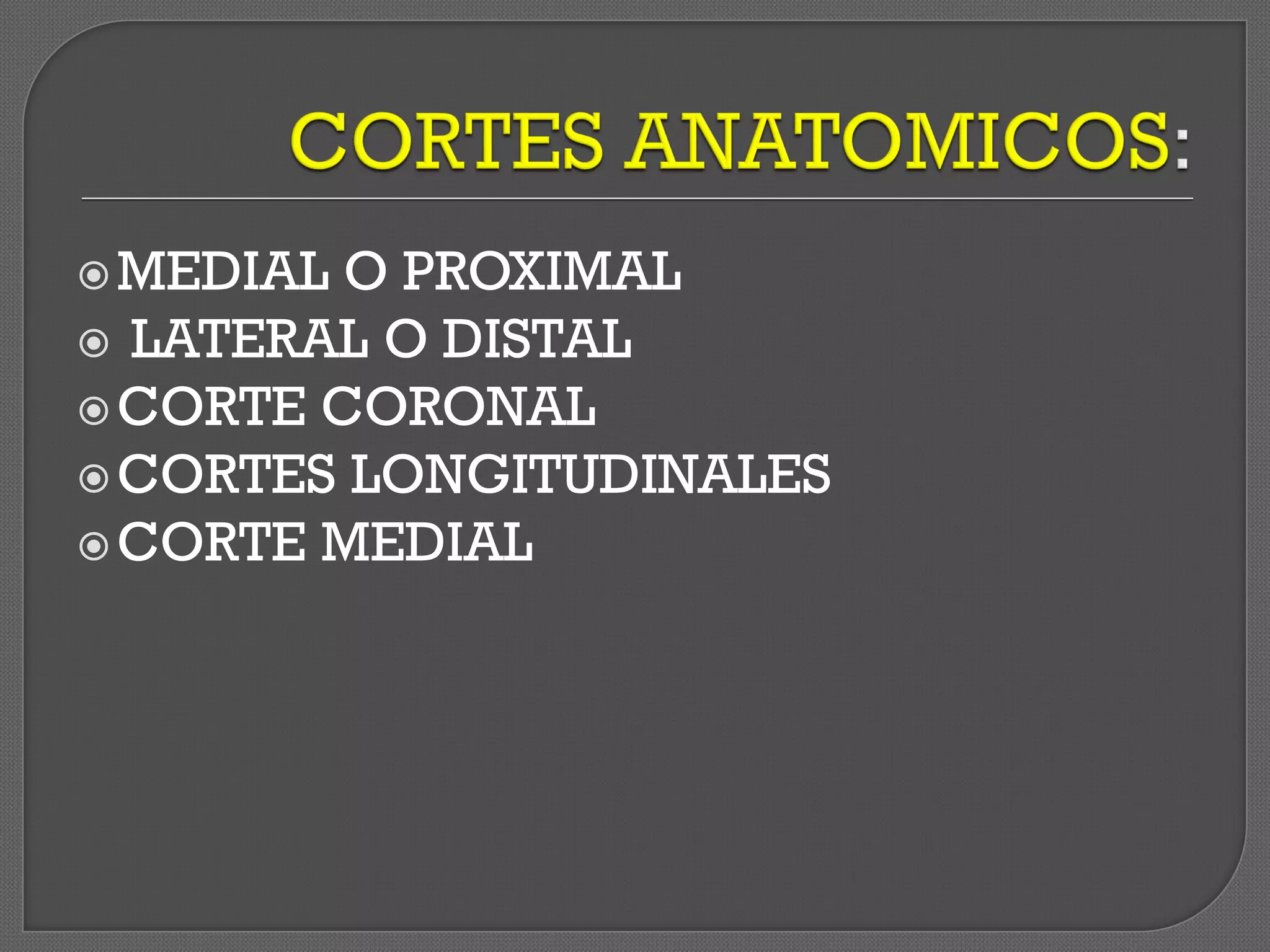 ANATOMIA DE CORTE - INTRODUCCION | PDF