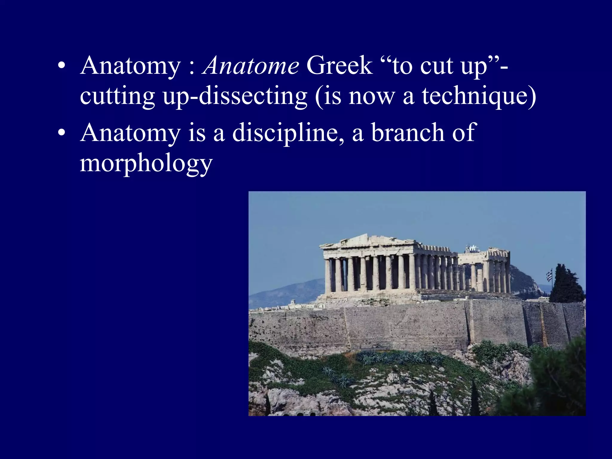 Anatomy Introduction | PPT