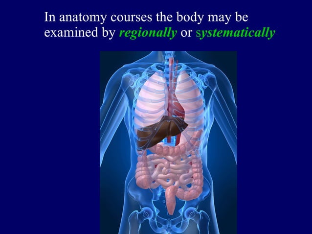 Anatomy Introduction | PPT