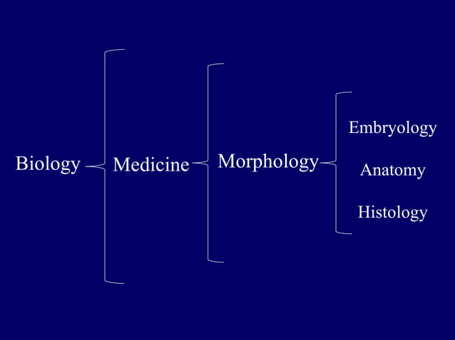 Anatomy Introduction | PPT