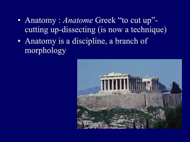 Anatomy Introduction | PPT