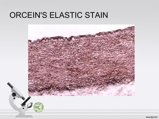 Introduction to Histology | PPT