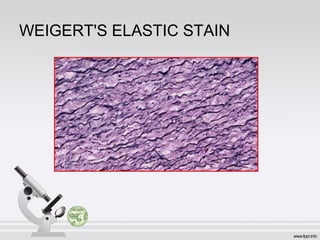 Introduction to Histology | PPT