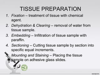 Introduction to Histology | PPT