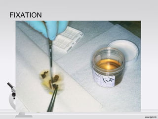 Introduction to Histology | PPT