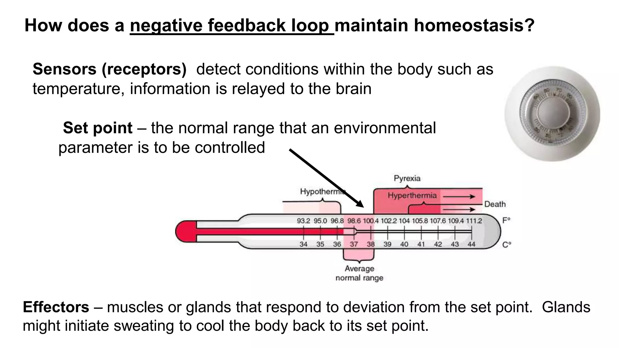 01 Introduction to Anatomy and Physiology.pptx