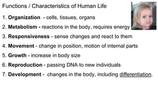 01 Introduction to Anatomy and Physiology.pptx