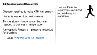 01 Introduction to Anatomy and Physiology.pptx