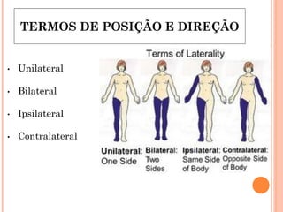 01 INTRODUÇÃO AO ESTUDO DA ANATOMIA HUMANA.pdf