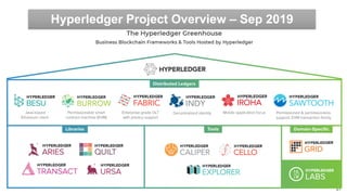 01 - Introduction to Hyperledger : A Blockchain Technology for Business | PDF | Programming ...