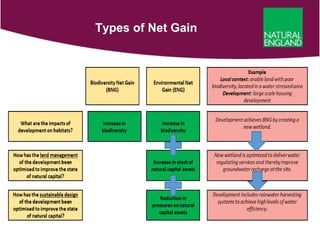 Environment Bill and Net Gain update by Julia Coneybeer | PPT